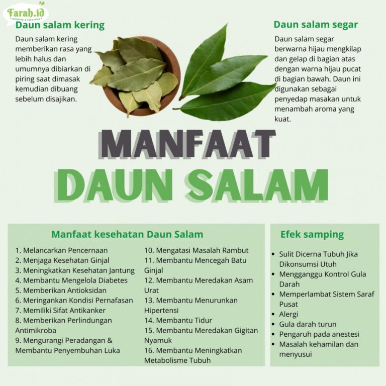 Mengenal Sayuran Daun Salam: Manfaat dan Cara Pengolahannya – My Blog